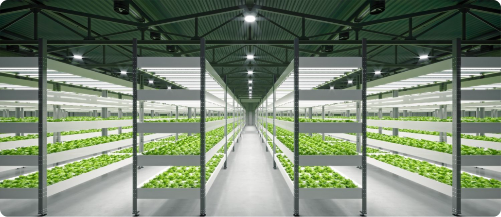 5 Reasons to Switch to LED Warehouse Light Fixtures